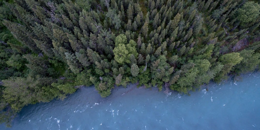 Esri Conservation Program: gisAction partner ufficiale